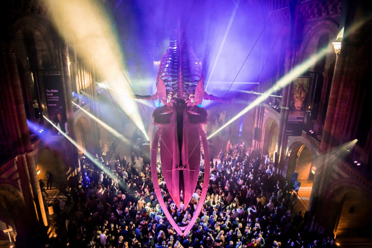 Valentine's Silent Disco Natural History Museum London Tickets - House ...